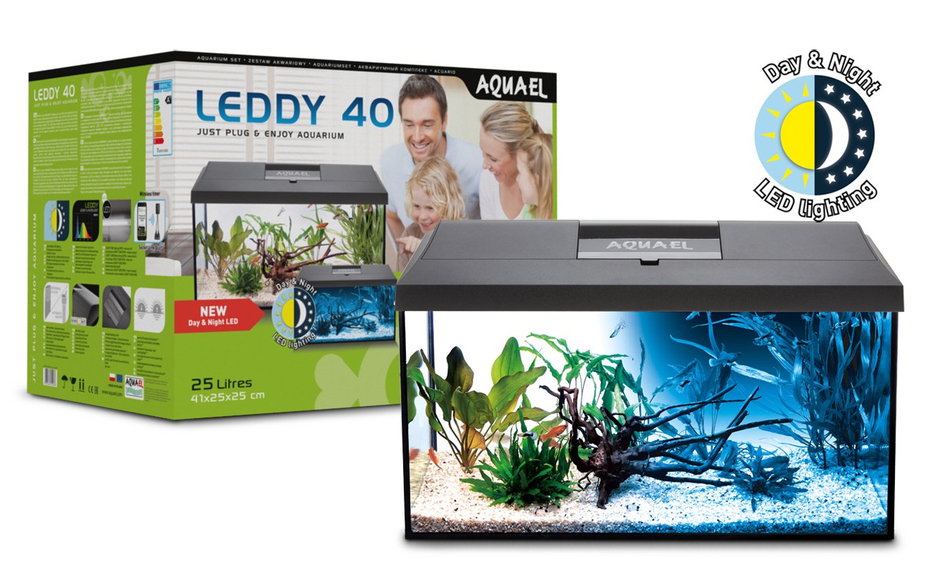 Aquarium gifts | Top six presents for fish tank lovers on Father's Day